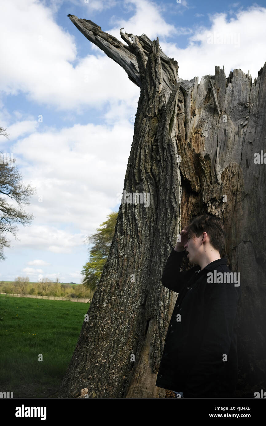 a sixteen year old teenager stands alone by an old dead tree brushing ...