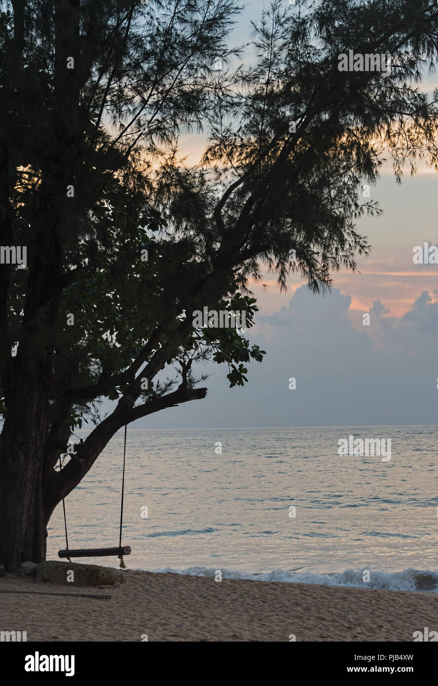 Rope swing on beach hi-res stock photography and images - Alamy