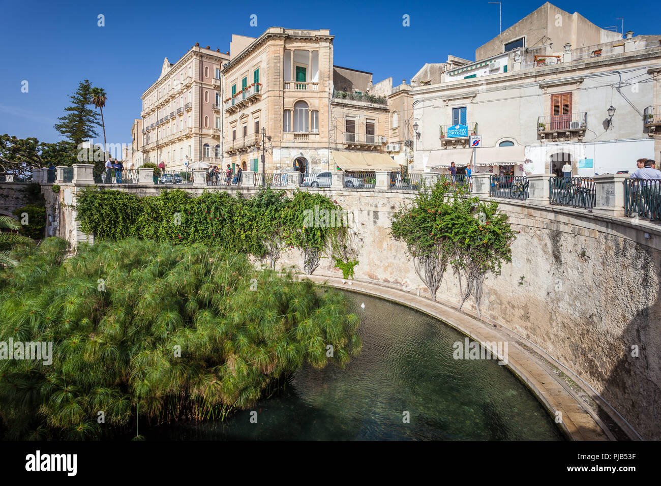 SYRACUSE, ITALY - OCTOBER 14, 2014: Fountain of Arethusa with papyrus ...