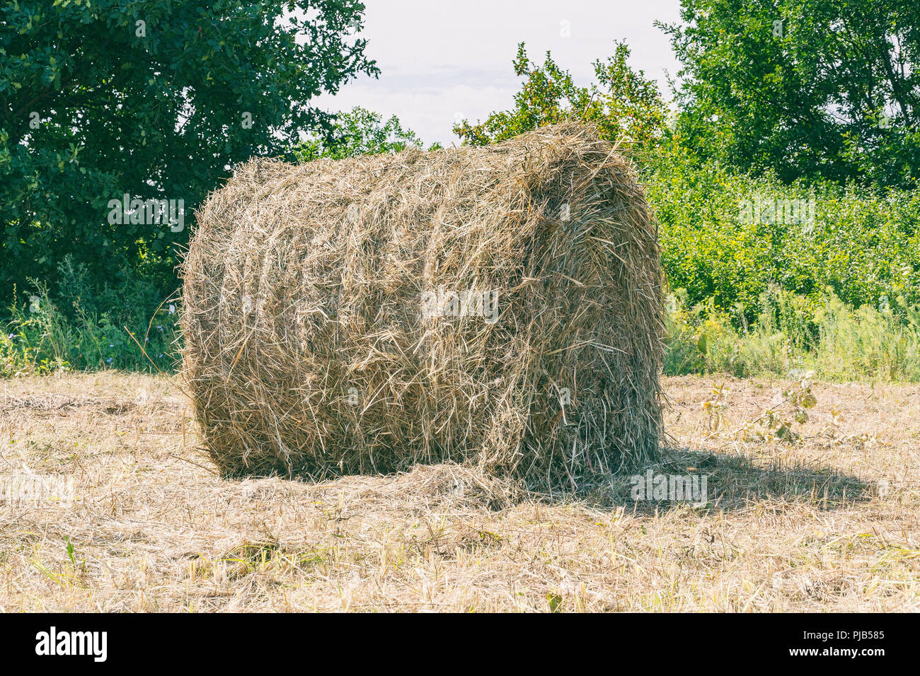 Round bale hay on edge hi-res stock photography and images - Alamy