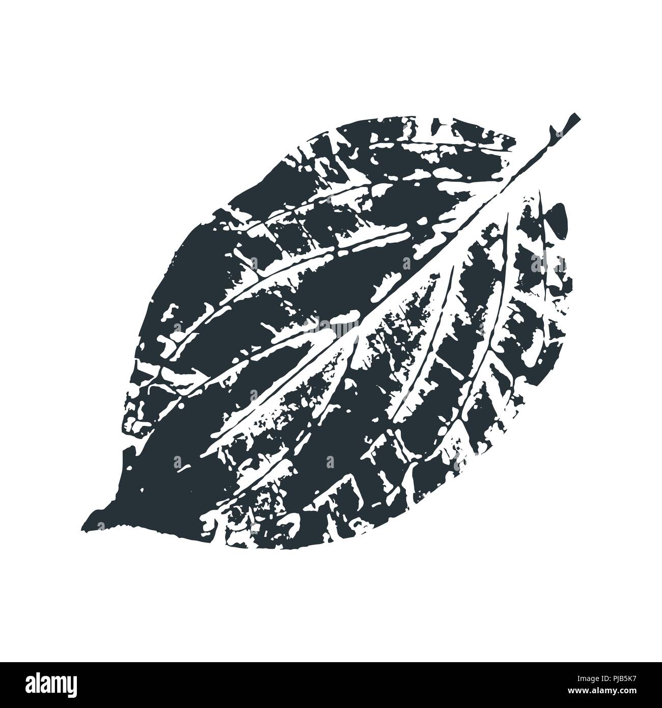 Vector Leaf print. Inkprinted leaves of the trees on paper Stock Vector ...