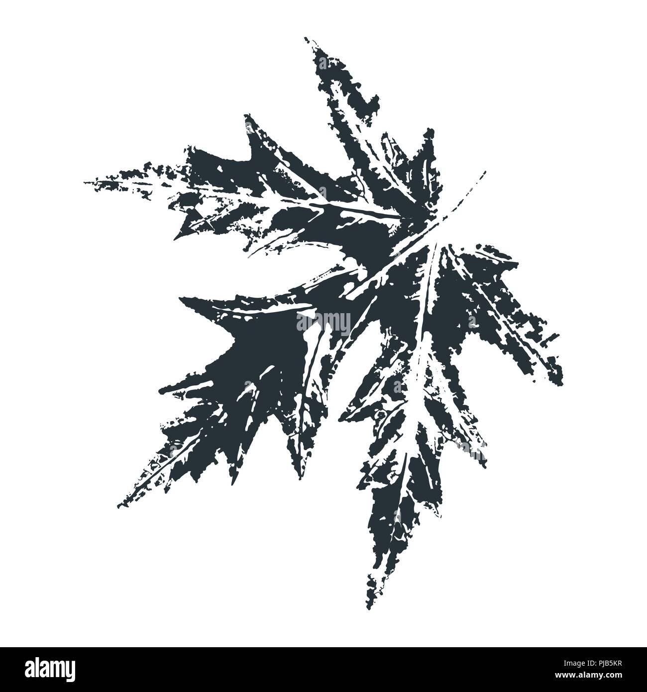 Vector Leaf print. Inkprinted leaves of the trees on paper Stock Vector ...