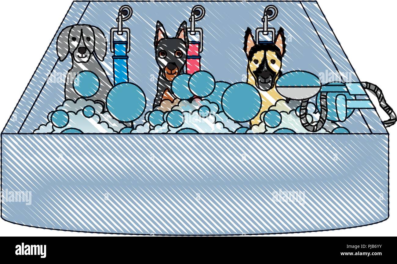 cute dogs taking a bath over white background, vector illustration ...