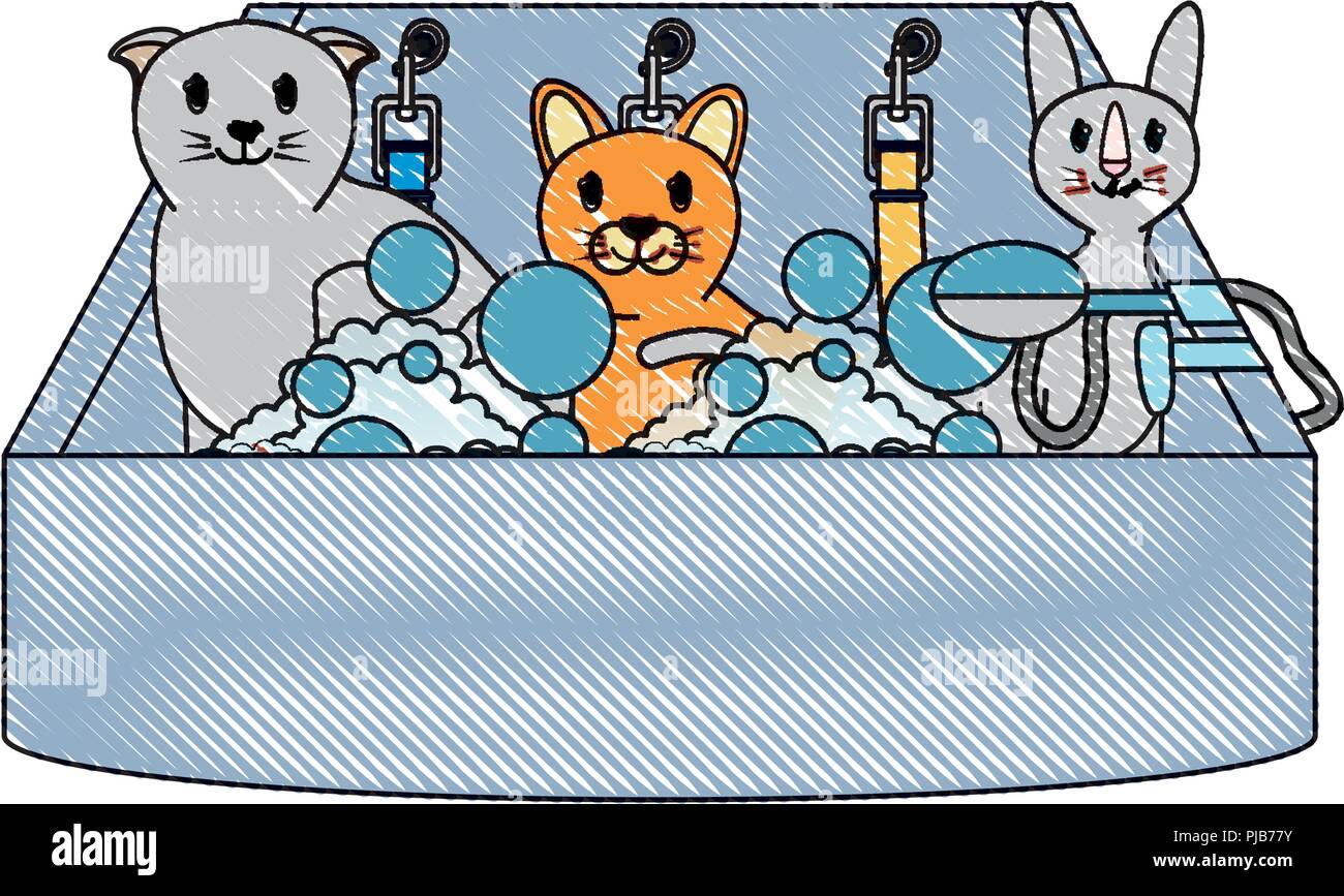 cute cats taking a bath over white background, vector illustration ...