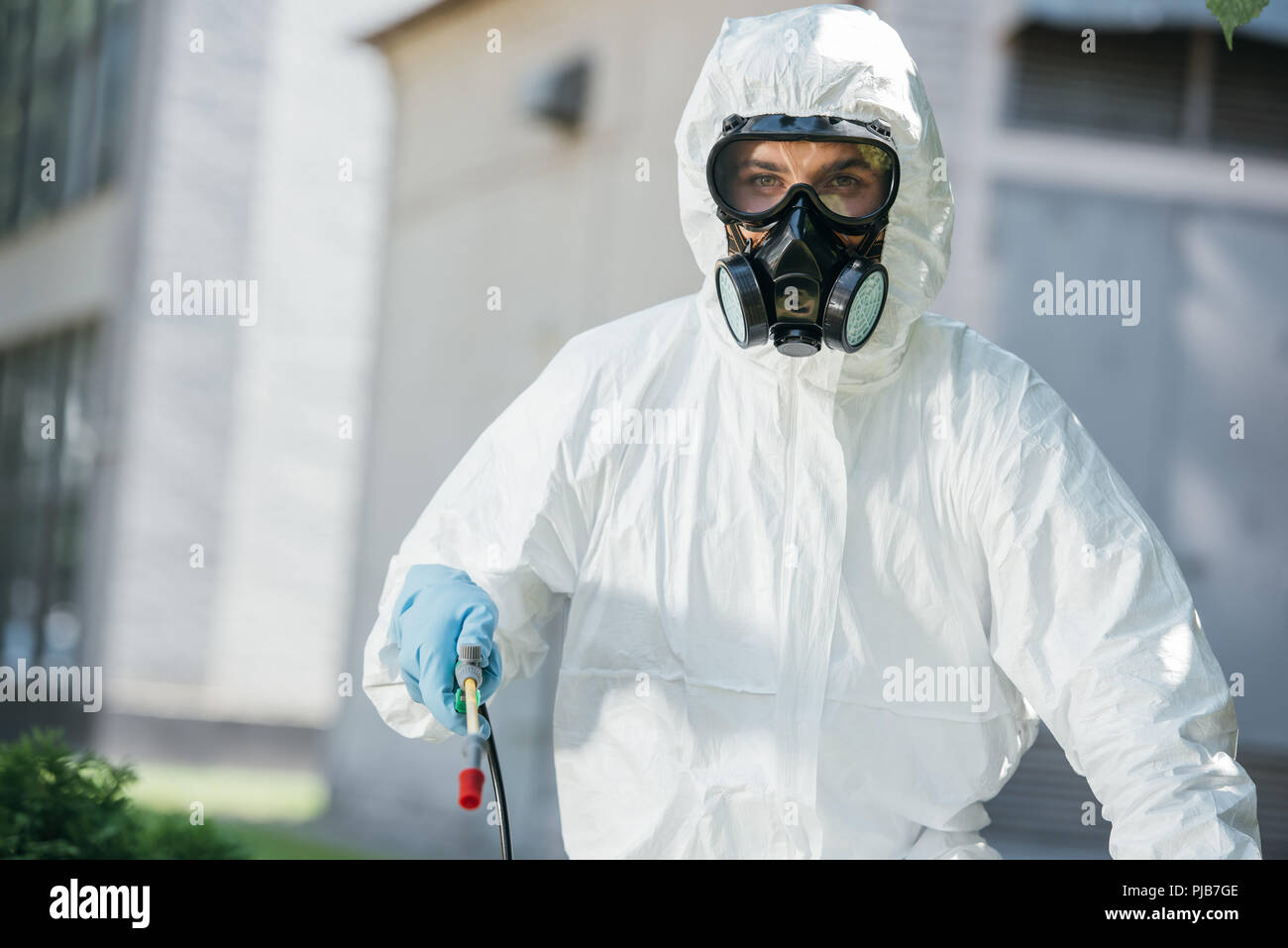 portrait of pest control worker in respirator looking at camera Stock ...