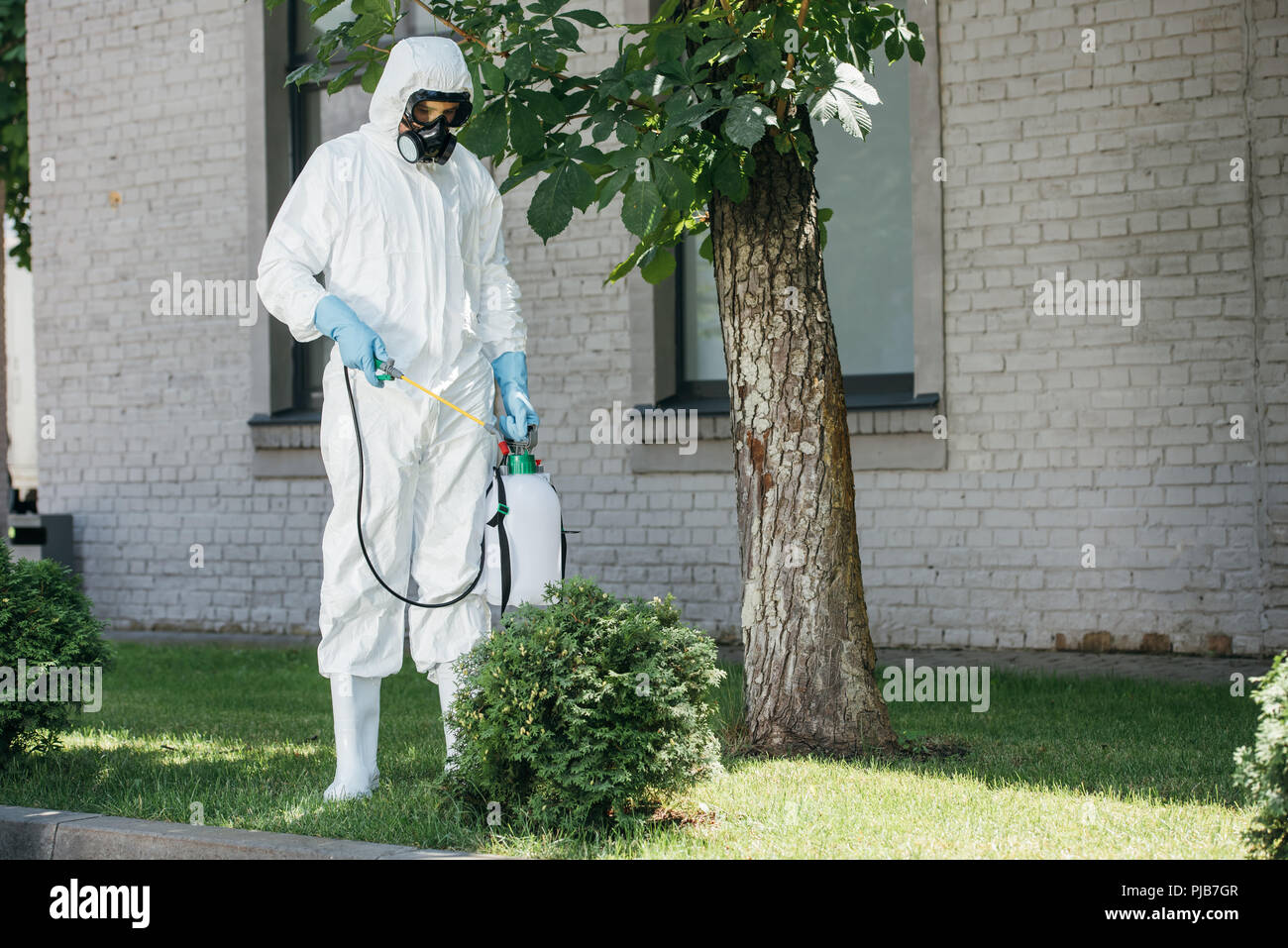 Spraying insecticide street hi-res stock photography and images - Alamy