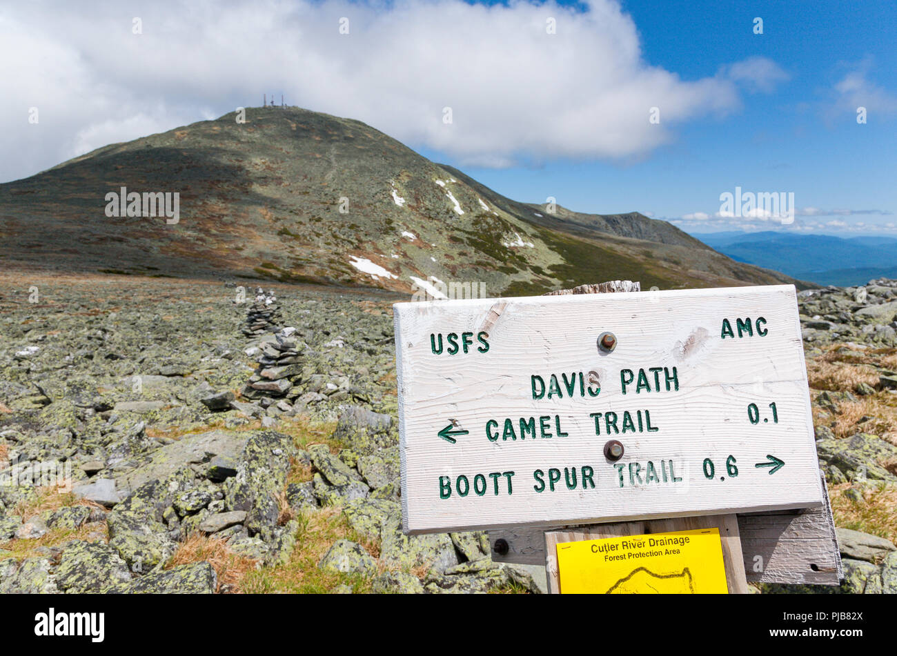 Mount Washington from along Davis Path in Sargent’s Purchase, New ...