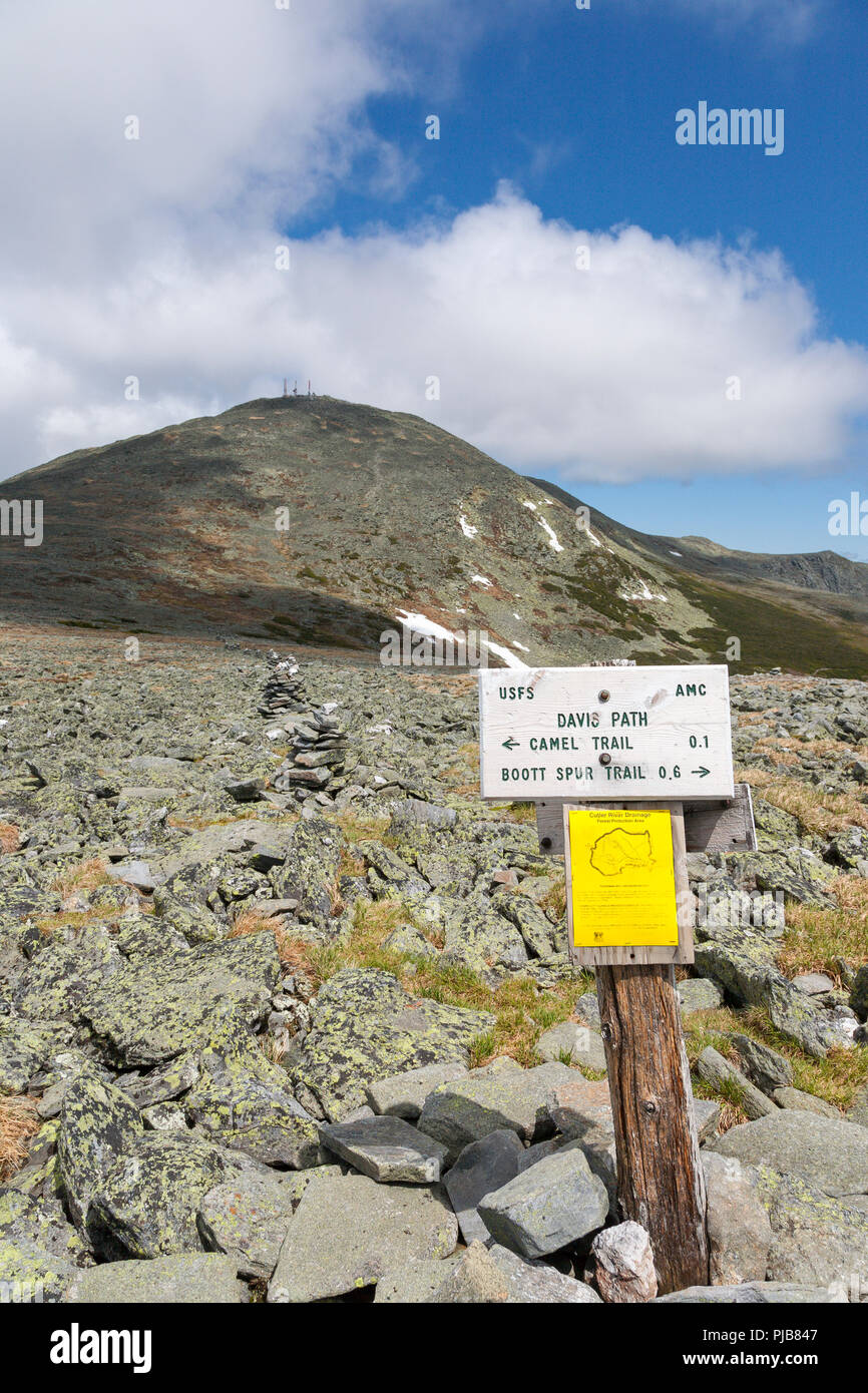 Mount Washington from along Davis Path in Sargent’s Purchase, New ...
