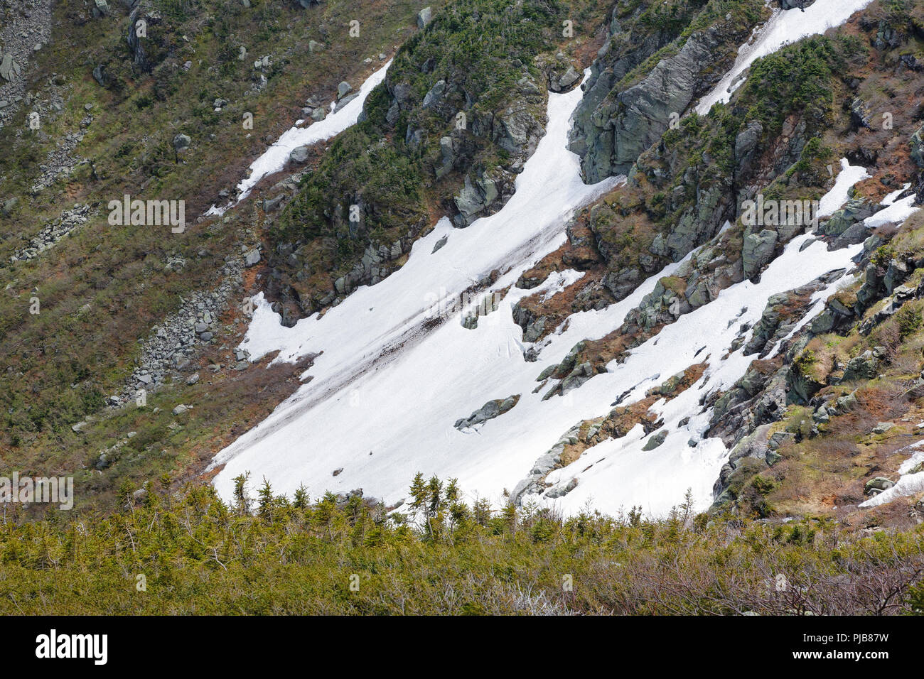 Tuckerman Ravine during the early summer months in the White Mountains ...