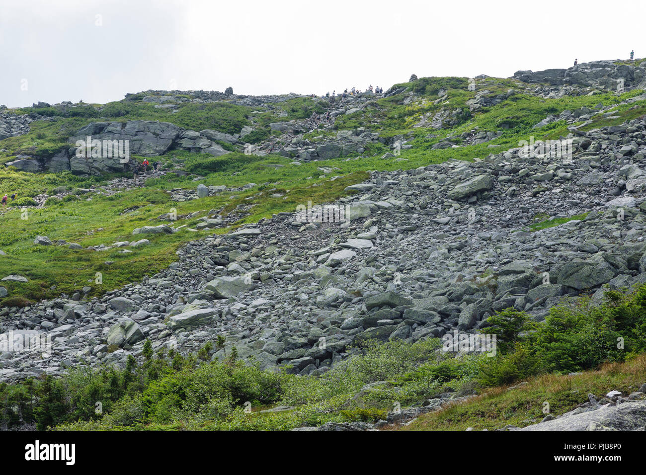Tuckerman ravine trail hi-res stock photography and images - Alamy