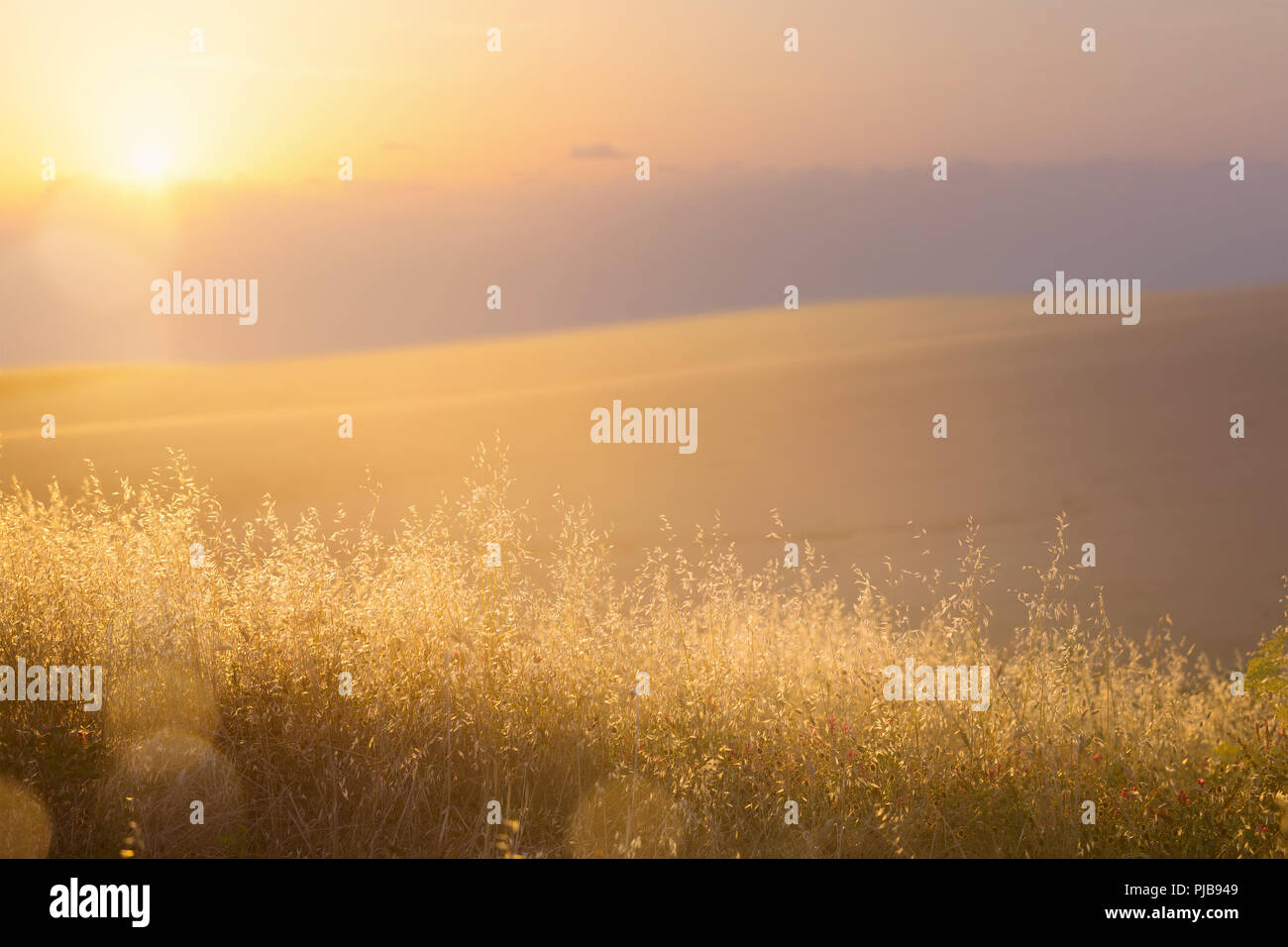 September sunny hi-res stock photography and images - Alamy