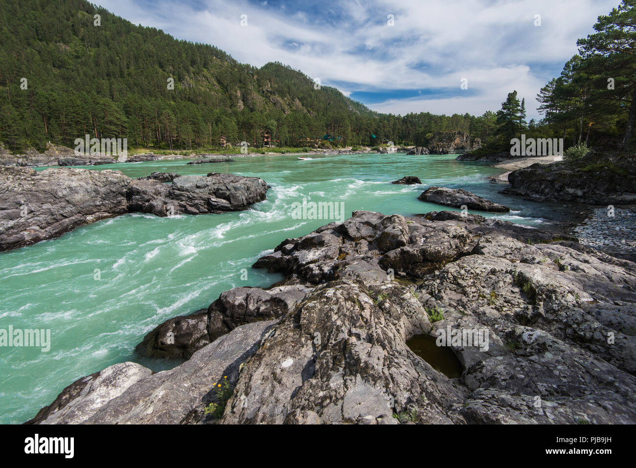 Katun river, in the Altai mountains Stock Photo - Alamy