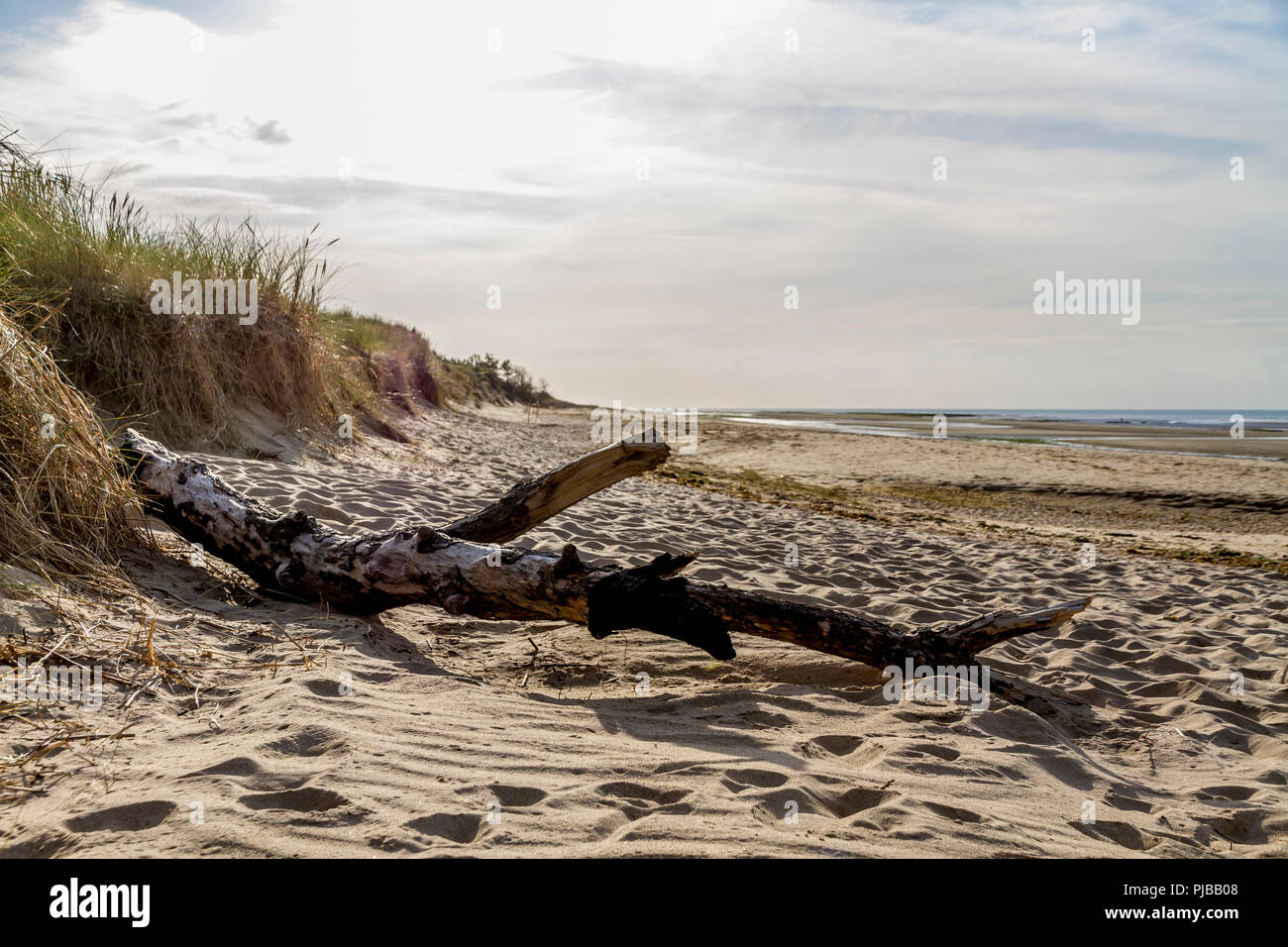 Wide low tide beach hi-res stock photography and images - Alamy