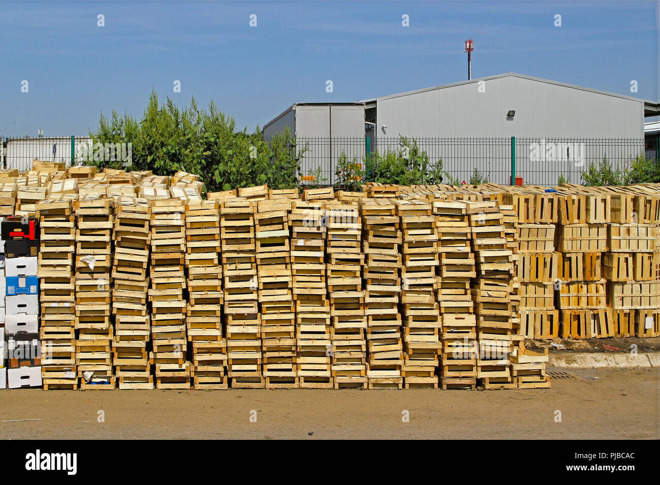 Distribution warehouse for fruits and vegetables with crates Stock ...