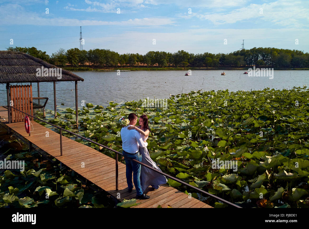romantic couple in nature in summer Stock Photo - Alamy