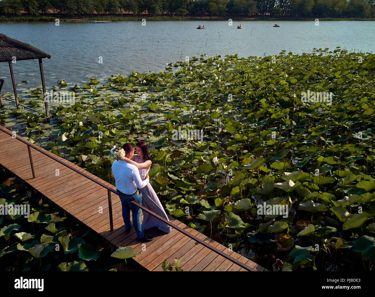 romantic couple in nature in summer Stock Photo - Alamy
