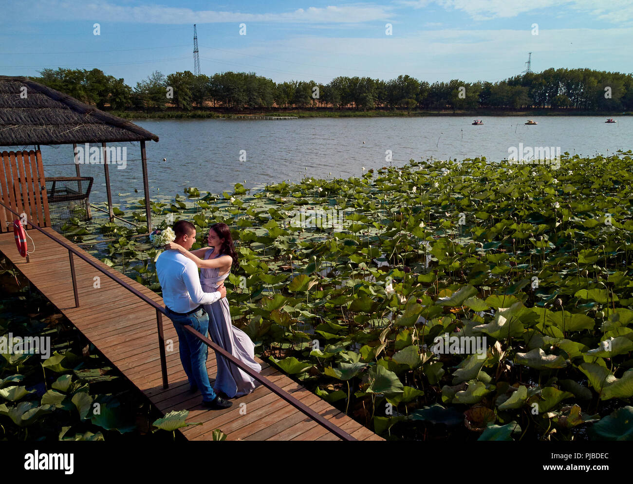 romantic couple in nature in summer Stock Photo - Alamy