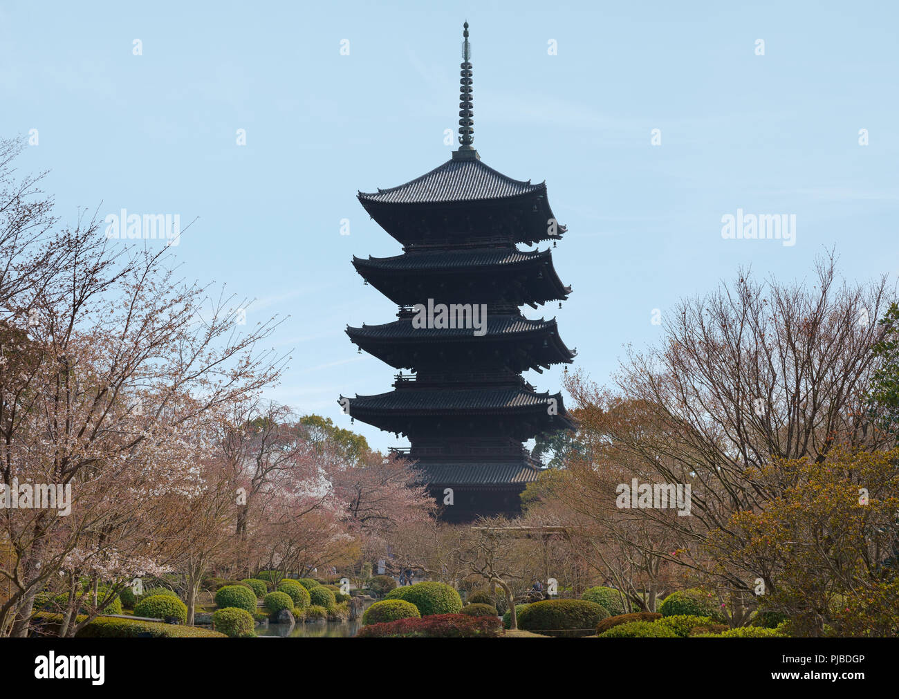 KYOTO, JAPAN - March 25, 2018: Cherry trees in bloom and pagoda in a ...