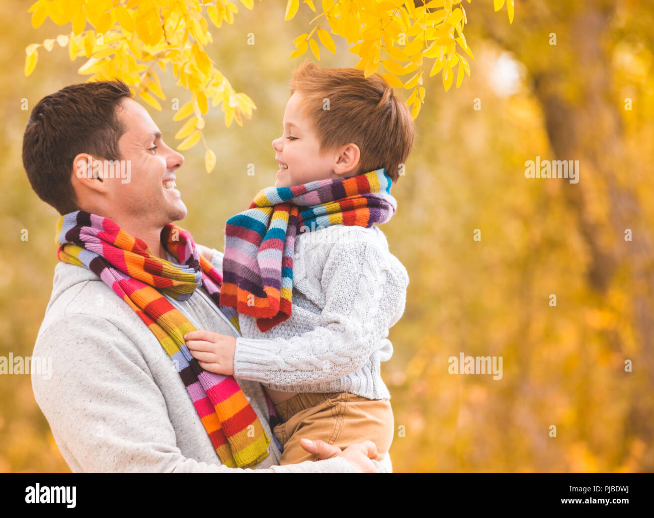 A little boy in the arms of his father. Walk in the autumn yellow ...