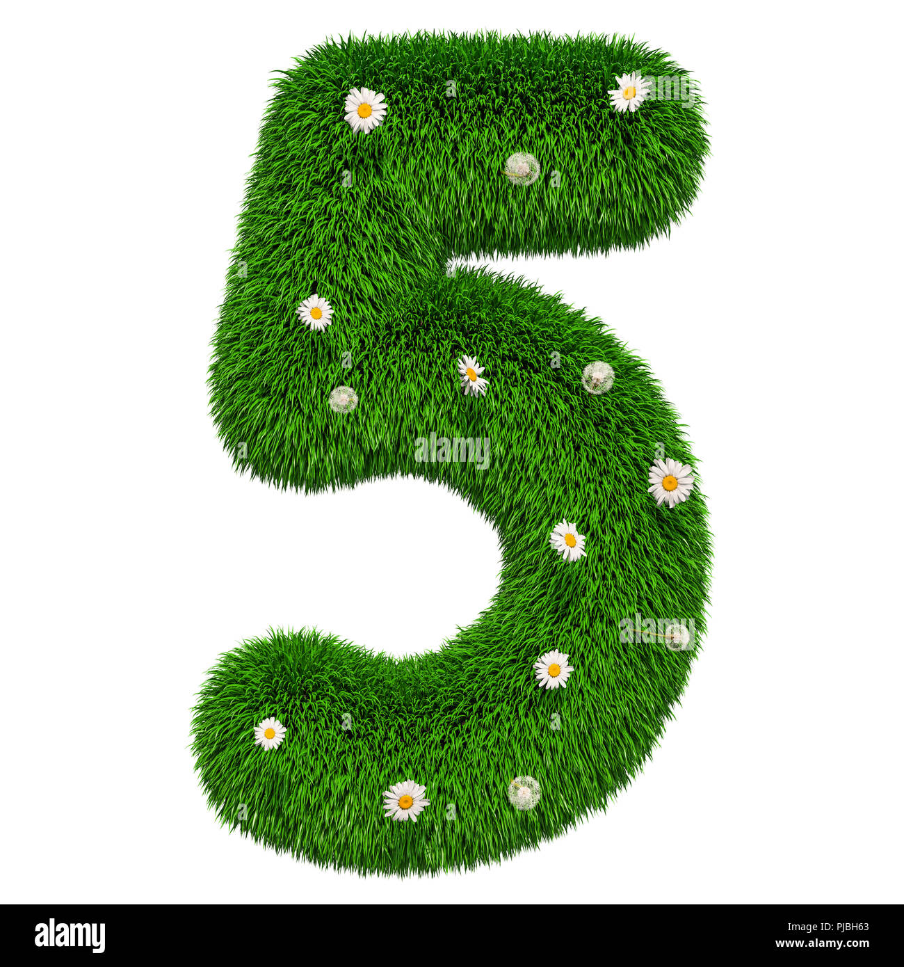 number 5 from grass with flowers, 3D rendering isolated on white ...