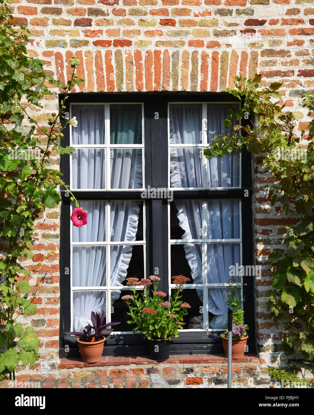 Old windows of houses in Brugge, Belgium Stock Photo - Alamy
