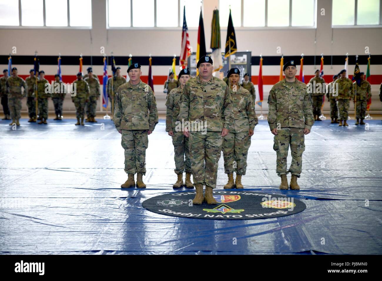U.S. Army NATO Brigade North Atlantic Treaty Organization Brigade ...
