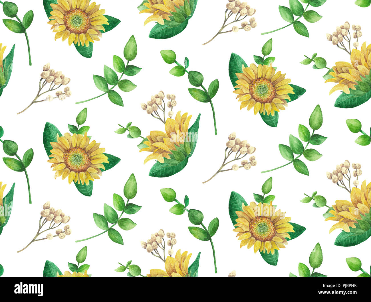 Watercolor sunflower hi-res stock photography and images - Alamy
