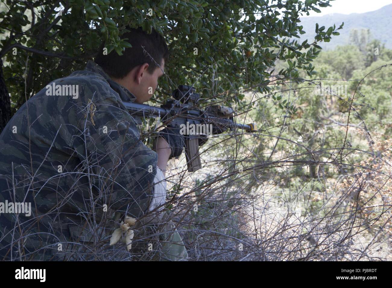 91st infantry division hi-res stock photography and images - Alamy