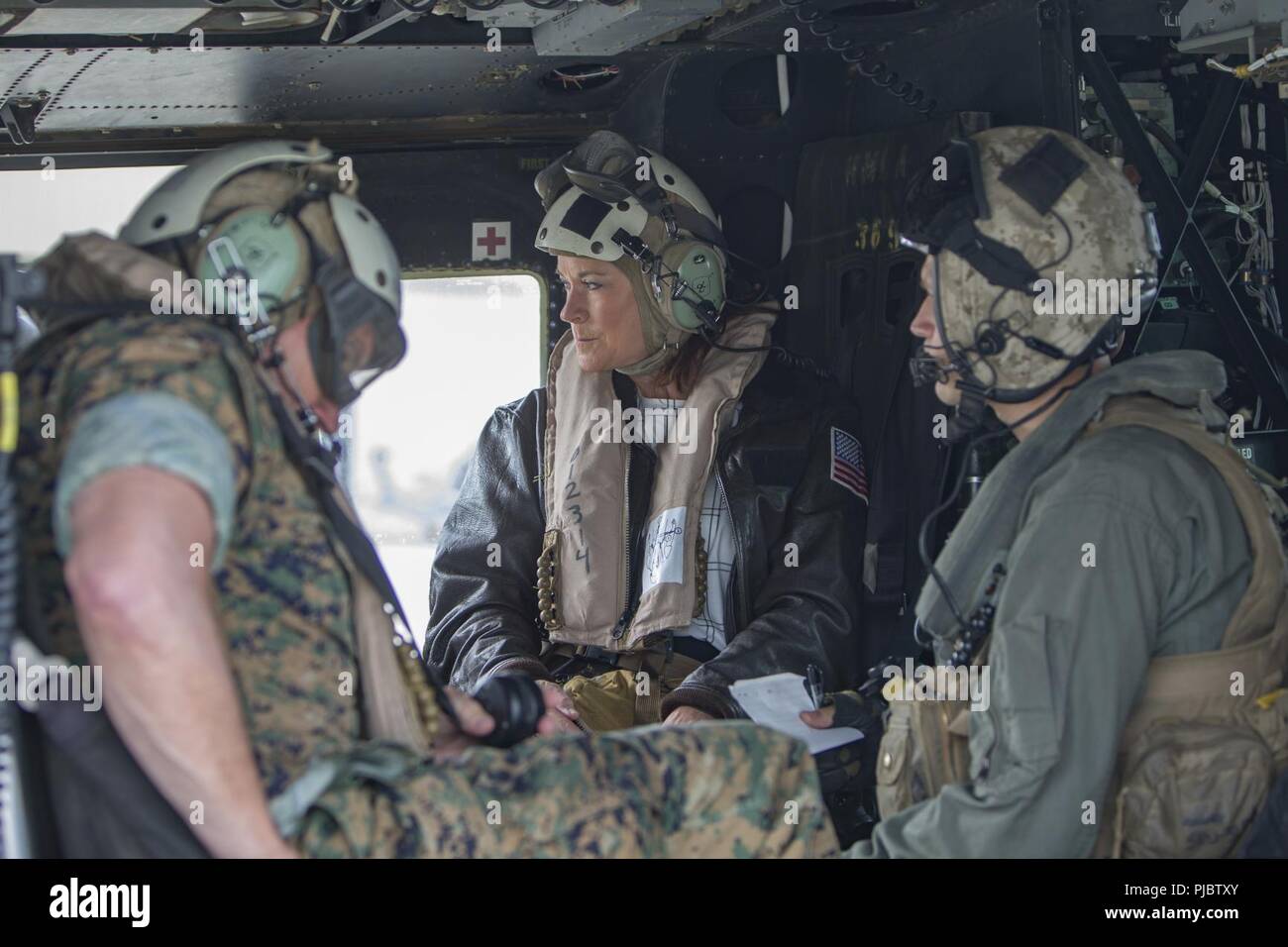 Phyllis major hi-res stock photography and images - Alamy