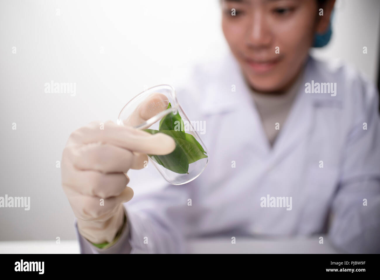 Scientist hand holding green leaf in glass cuvette on laboratory ...