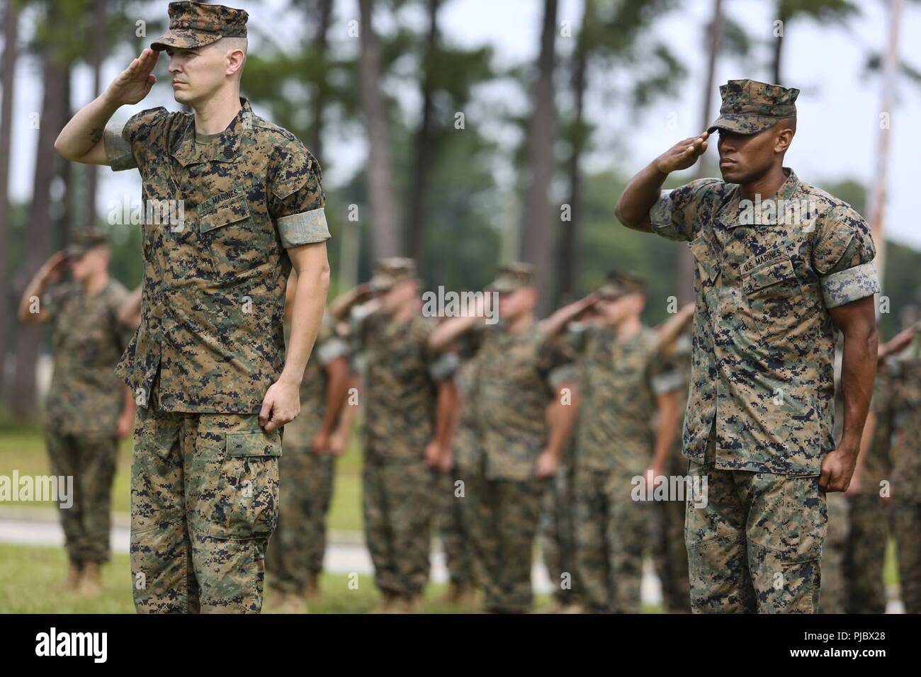 8th communications battalion hi-res stock photography and images - Alamy
