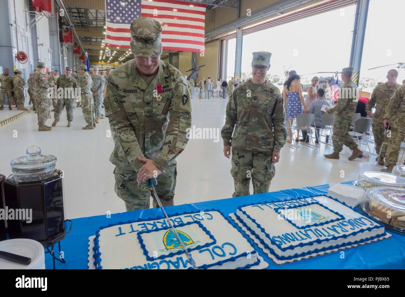 Col. Ronald W. Burkett II, outgoing commander, 36th CAB, cuts the ...