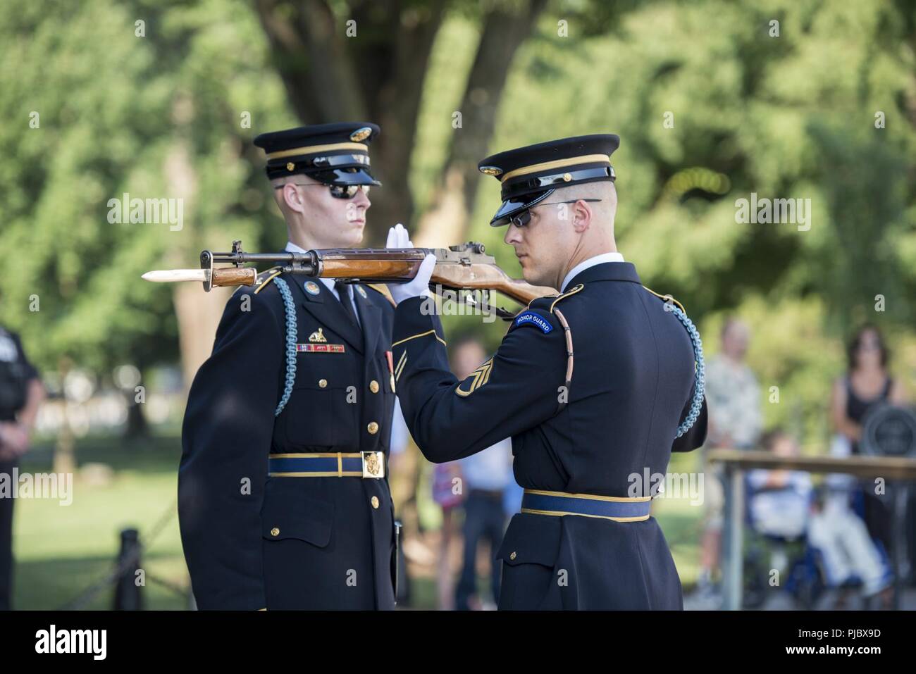Sentinels from the 3d U.S. Infantry Regiment (The Old Guard) perform ...