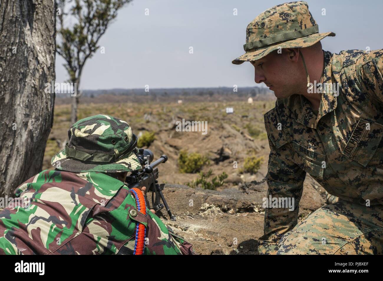A scout sniper with scout sniper platoon hi-res stock photography and ...