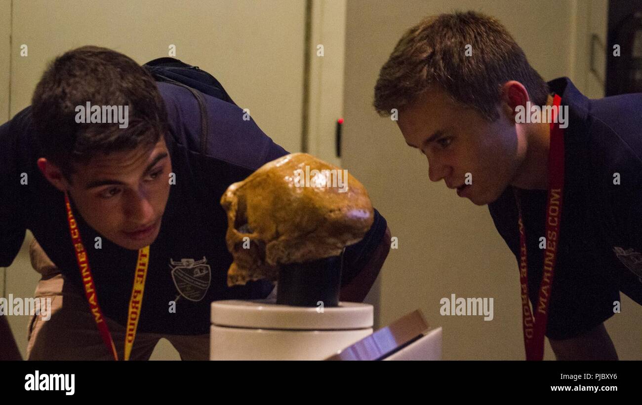 Shane Bombace (left), a student at Mount Sinai High School in Mount ...