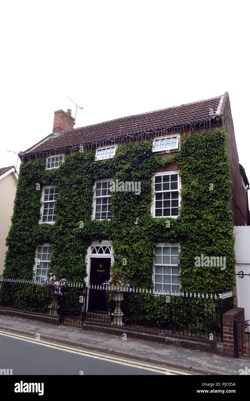 Full frontal view hi-res stock photography and images - Alamy