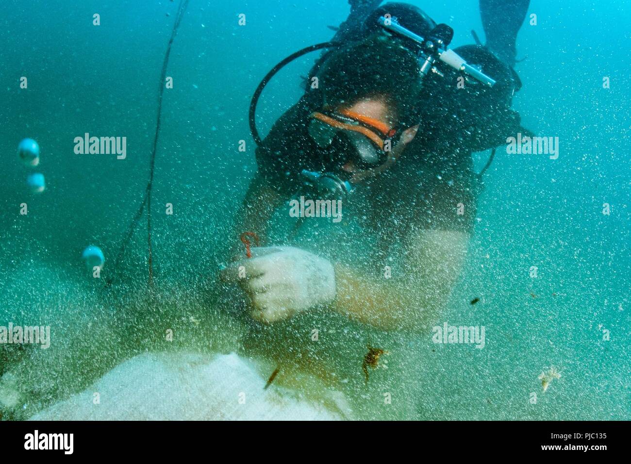 Underwater demolition training hi-res stock photography and images - Alamy
