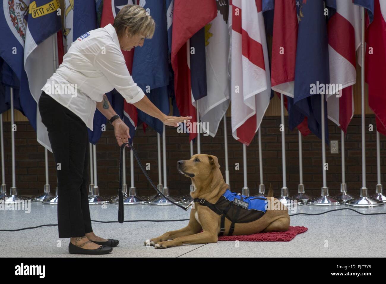 Pappy Boyington, the first therapy dog assigned to Naval Medical Center ...