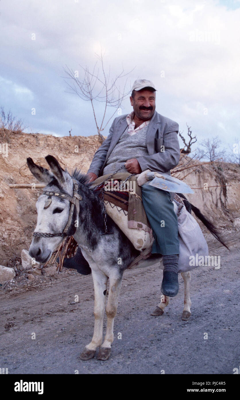 Donkey turkey hi-res stock photography and images - Alamy
