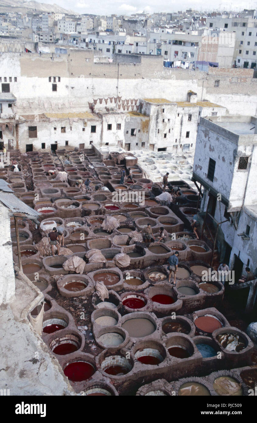 Fez tannery dye vats hi-res stock photography and images - Alamy