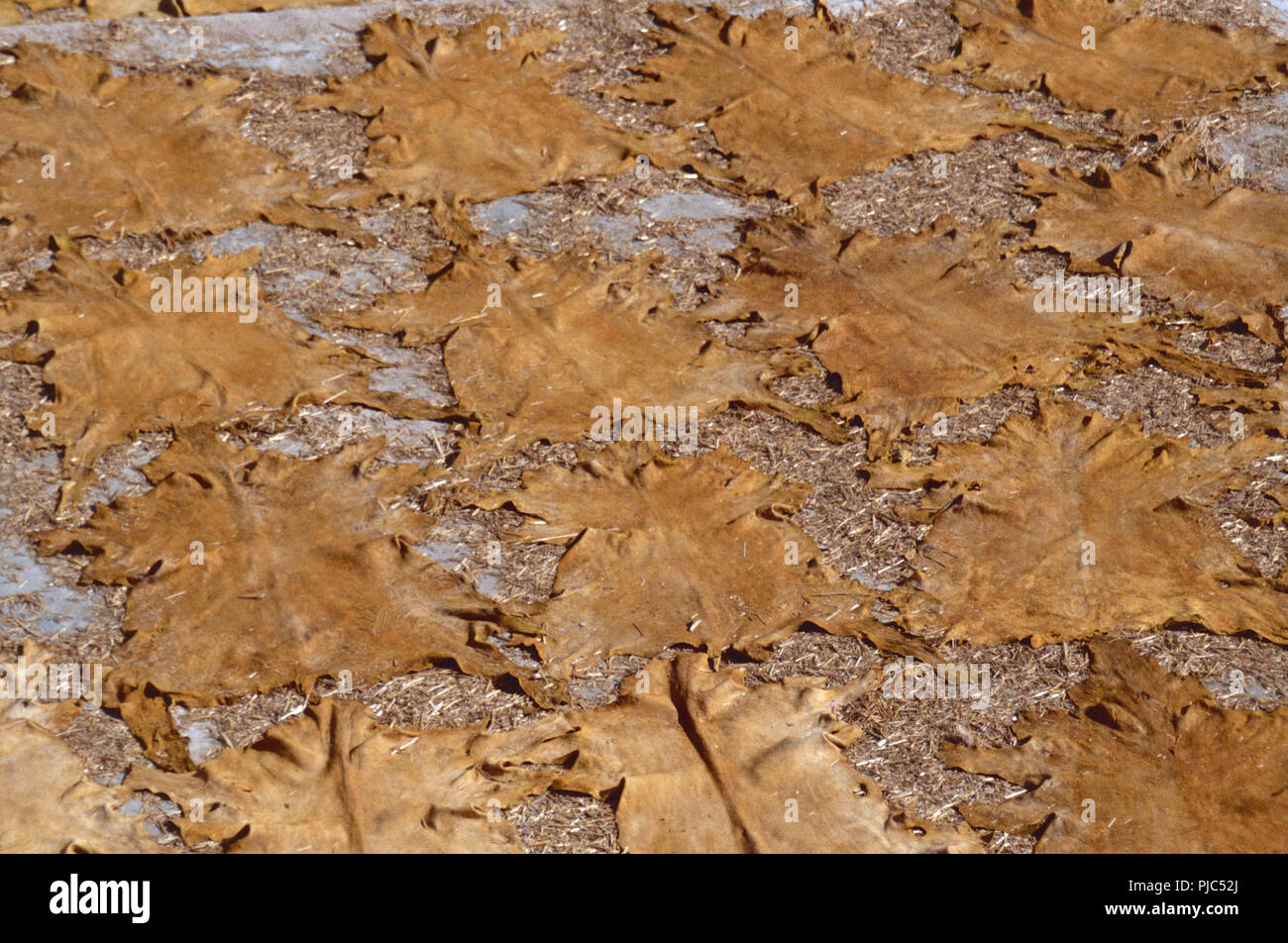 Choura hi-res stock photography and images - Alamy