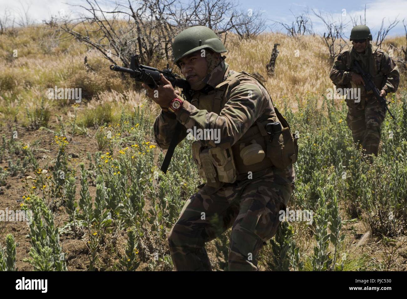 Royal tongan marine infantry hi-res stock photography and images - Alamy