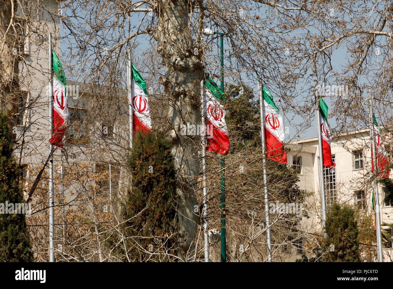 Islamic Republic of Iran. Iranian Flags Stock Photo - Alamy