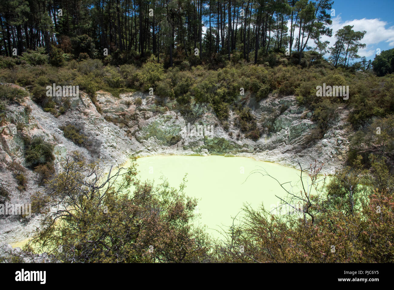 The neon green devil's bath thermal pool with lush forest and natural ...
