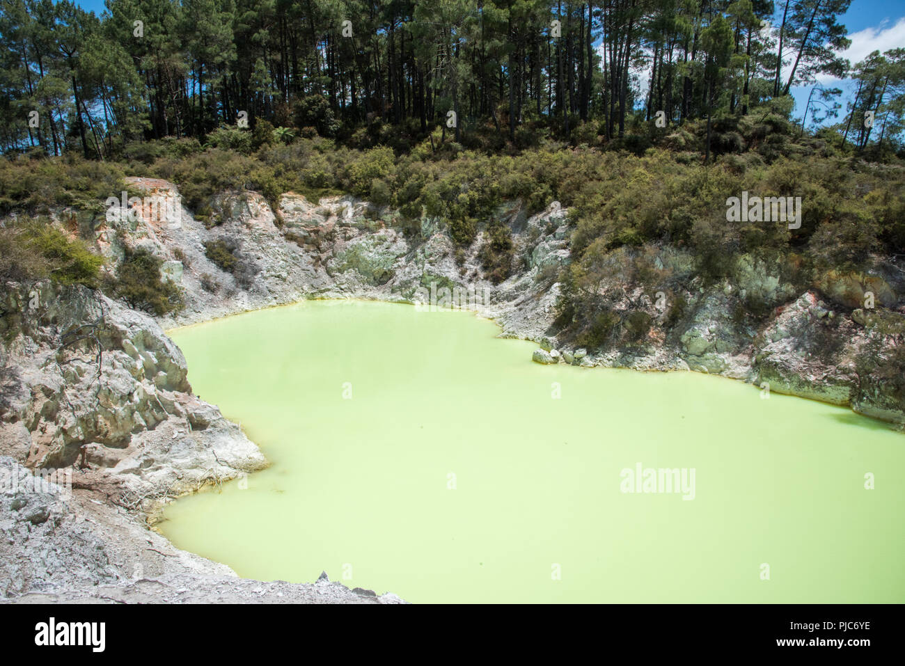 The neon green devil's bath thermal pool with lush forest and natural ...