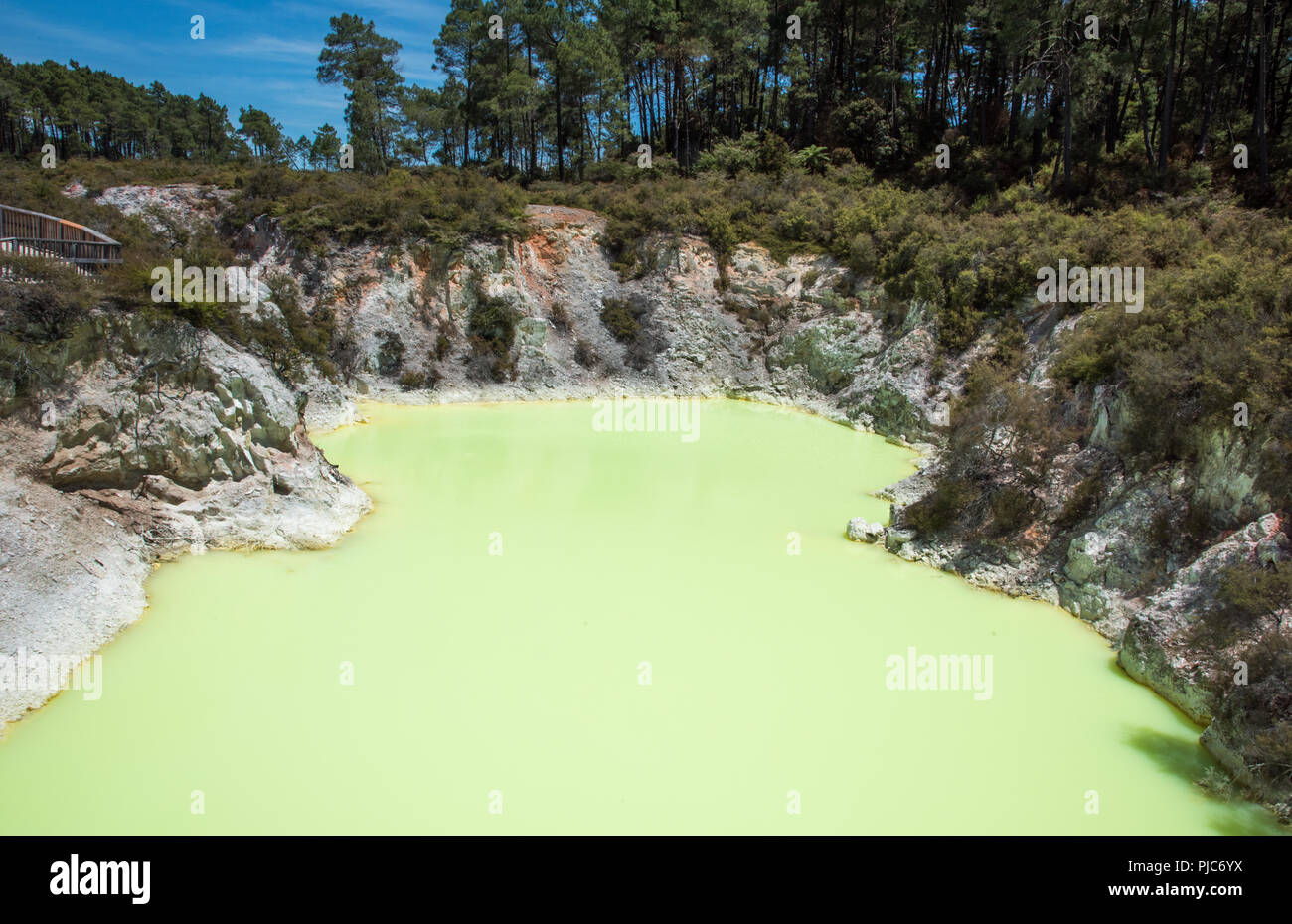 The neon green devil's bath thermal pool with lush forest and natural ...
