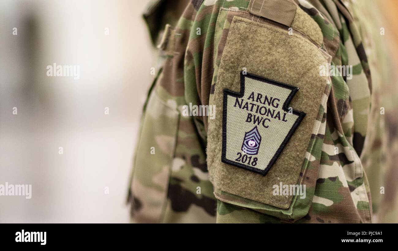 Soldiers competing in the 2018 National Best Warrior Competition ...