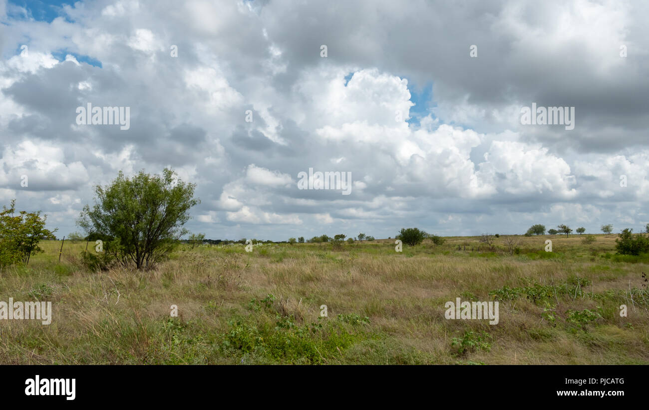 Wide Angle View of Flat Land with Tall Grass with Storm Clouds in the ...