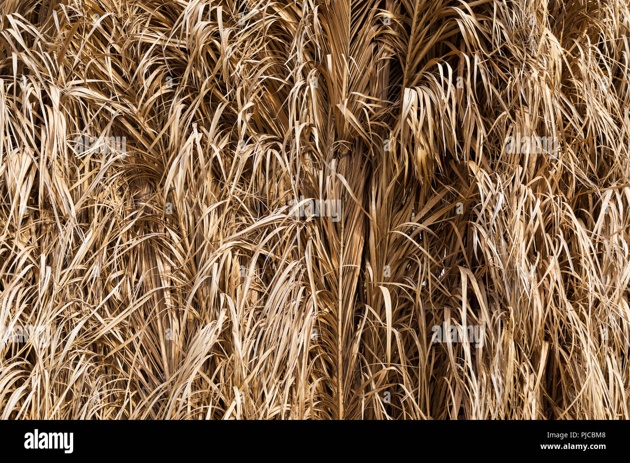 Qir High Resolution Stock Photography and Images - Alamy