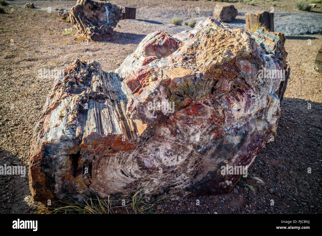 The Newspaper Rock in Petrified Forest National Park, Arizona Stock ...
